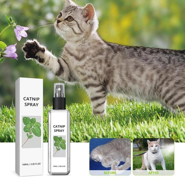 Herbal Joy Catnip Spray – Stylishoe